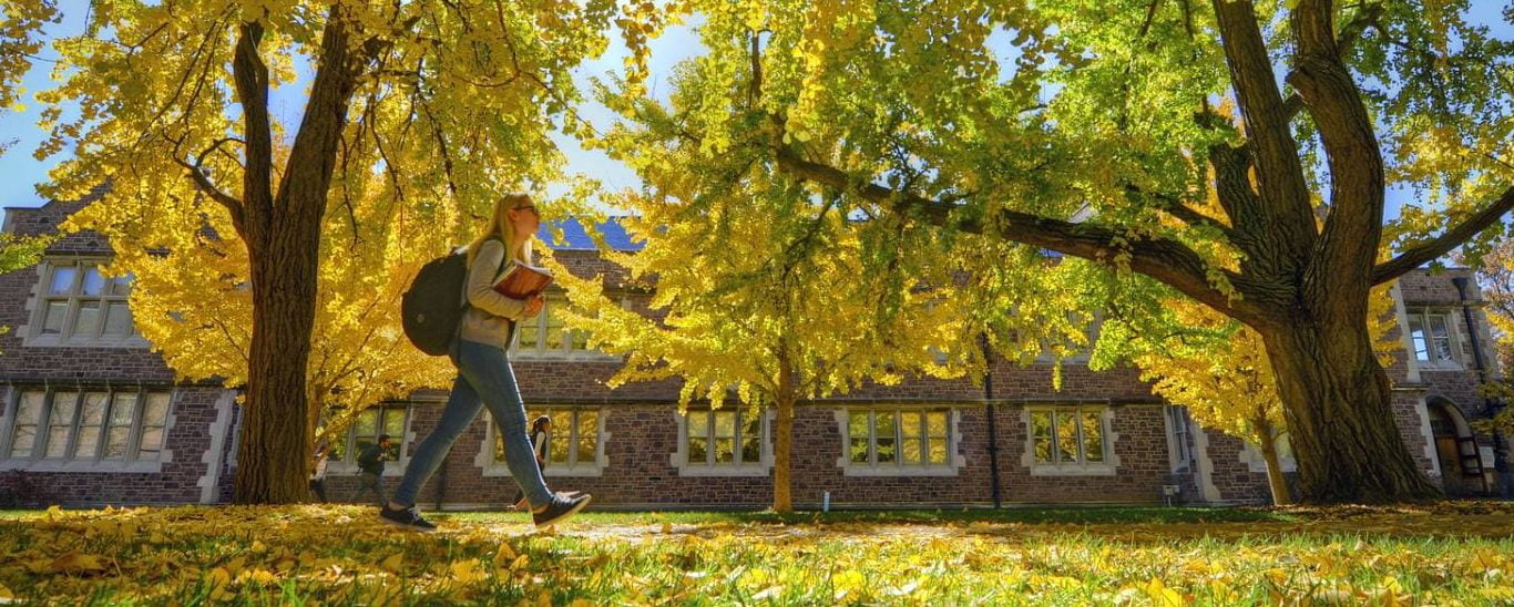 School of Continuing & Professional Studies | WashU